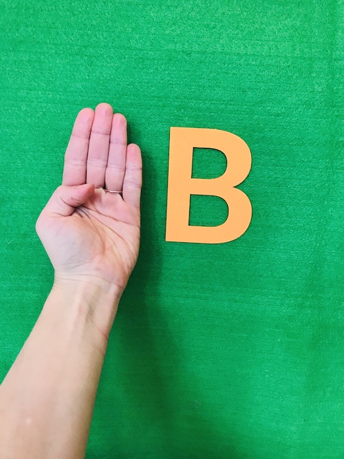 left-back-b – La Vida Lorena